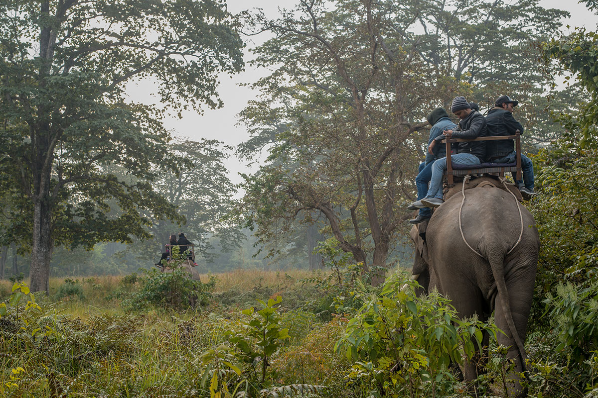 The Bardia National Park | Bardia National Park Safari