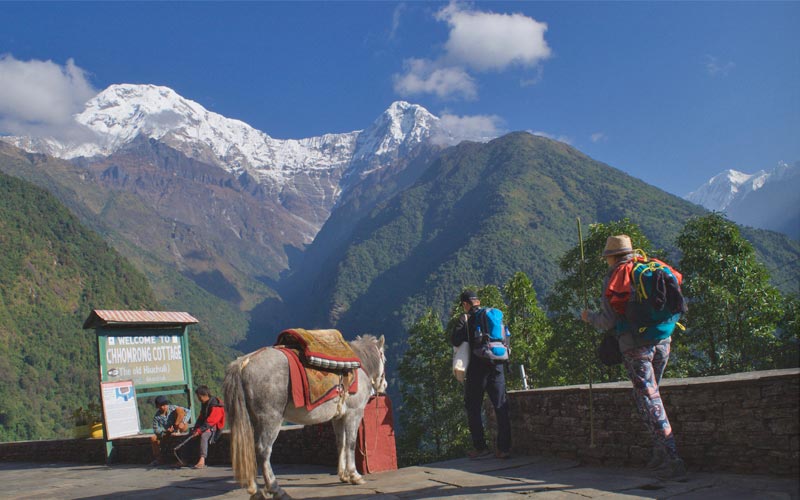 How much difficult to trek Annapurna Base Camp Trek - Himalayan Glacier